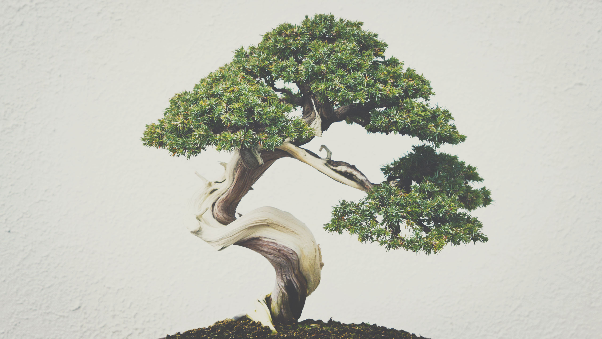 A Crippled Arm, Doubts and Something Better – Light Bearers