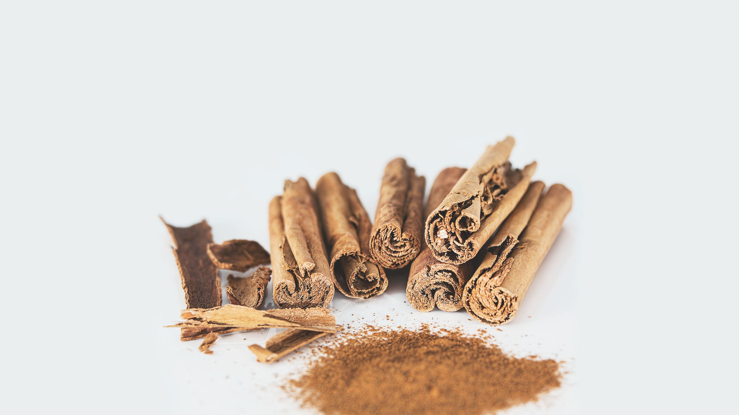 True Cinnamon – Light Bearers