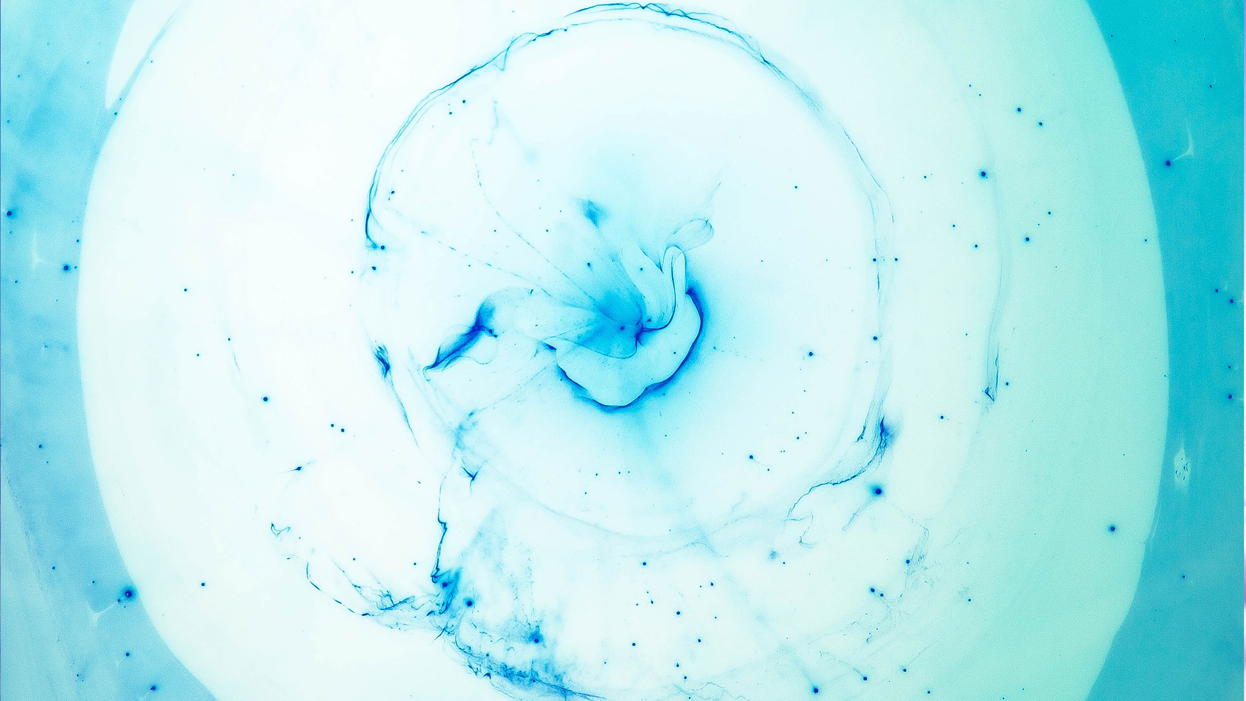 Moldy Mary – Light Bearers